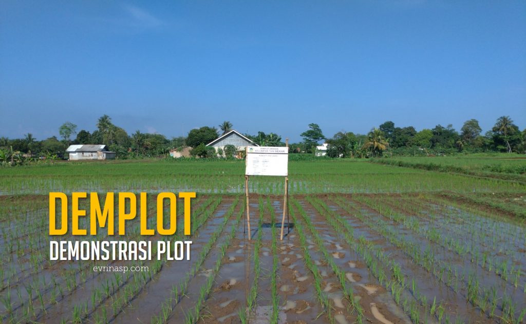 Demonstrasi Plot (Demplot), Alternatif Metode Penyuluhan Untuk Tahap ...