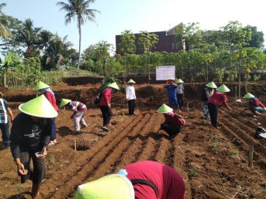 Demonstrasi Plot (Demplot), Alternatif Metode Penyuluhan Untuk Tahap ...